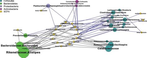 Correlation Between Short Chain Fatty Acid Scfa Levels And