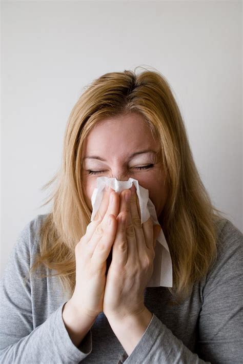 Las Alergias Respiratorias Protagonizan Un Curso De Verano De La Ule