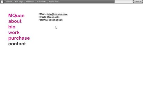 Wordpress Basics Youtube