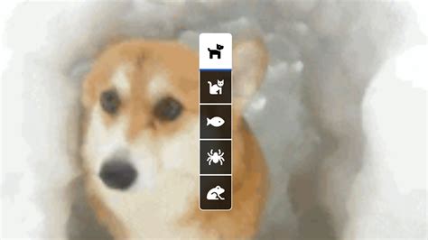30 Animated Javascript Button Examples