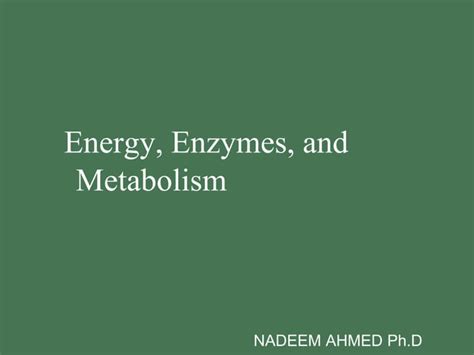 Lecture 6 Energy Enzymes And Metabolismppt