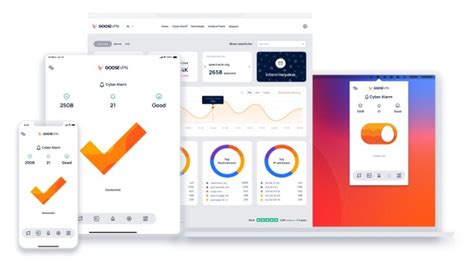 Goose Vpn Protect Your Data And Browse Privately Appsumo