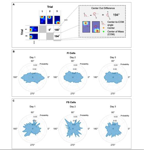 Location Remapping Of Fs Cells Is Not Modulated By Reward Location A