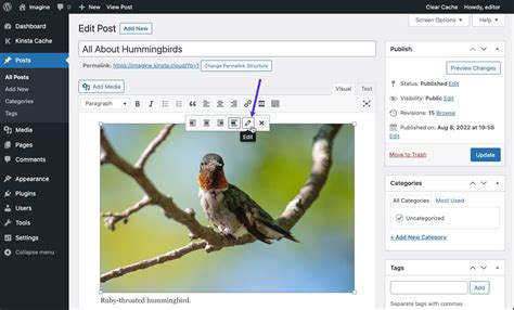 how to add wordpress image captions