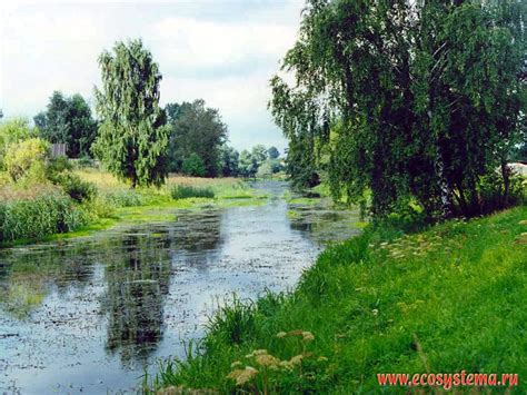 Природа России на картинках картинки и рисунки на