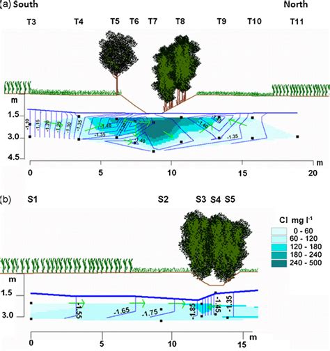 Vertical Cross Sections Along Perpendicular Transects Of Bedollo A Download Scientific
