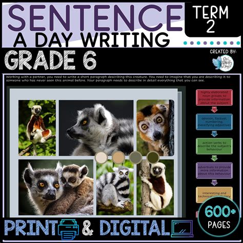 Number Card Game Teacher Resources