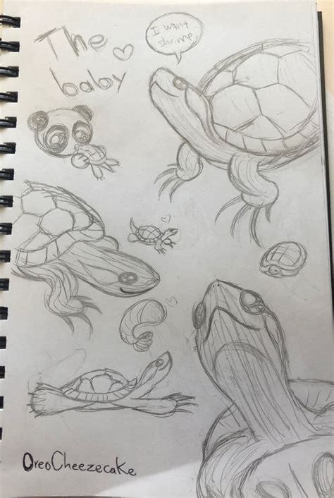 Drew Sketches Of My Beloved Turtle