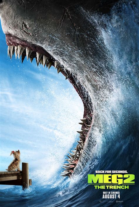 Meg Facts And Figures In Time For The Meg 2