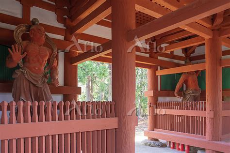 金剛力士像 光明寺仁王門 京都府 綾部市 152947888 の写真素材 アフロ