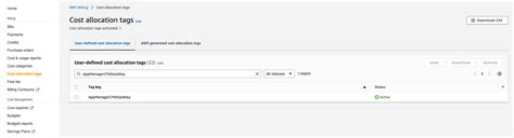Activate Cost Allocation Tags Associated With The Solution Amazon