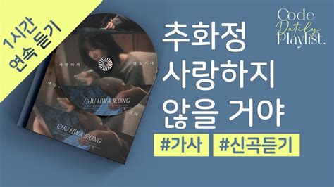 추화정 사랑하지 않을 거야 1시간 연속 재생 가사 Lyrics Youtube