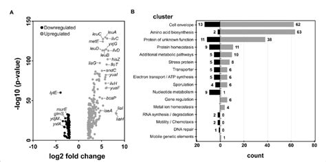rna seq results upon bdtl049 treatment a volcano plot of
