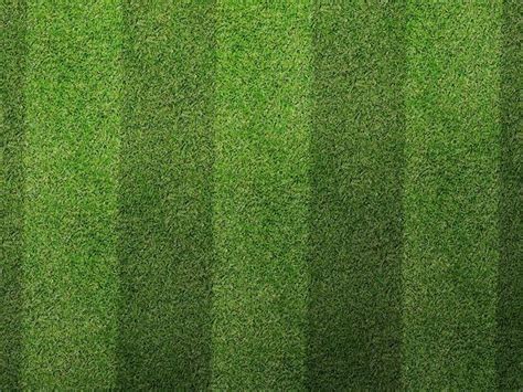 Realistic Grass Texture For Garden And Football Pitch