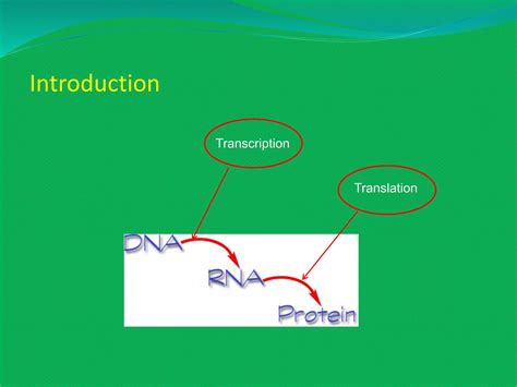 Proteomics Ppt