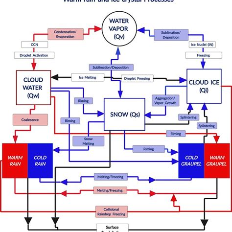 the web of cloud microphysical processes involving warm rain and ice