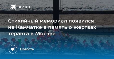 Стихийный мемориал появился на Камчатке в память о жертвах теракта в