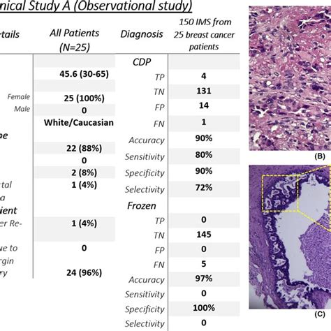 Casp Modified Low Appraisal Criteria Analysis For All Studies