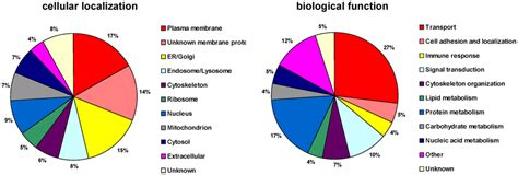 Classification Of The Identified Proteins Distribution Charts Of