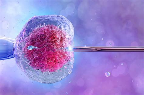 What Happens To Sperm After Vasectomy Msi Vasectomy