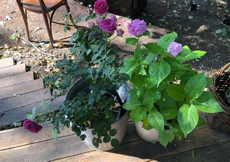 Гороскоп на тиждень з 7 по 13 серпня 2023 року для кожного знаку зодіаку Цей день