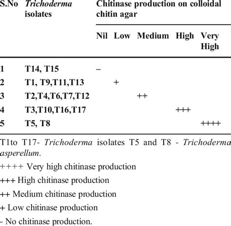 Screening Of Trichoderma Isolates For Chitinase Produc Tion On Download Scientific Diagram