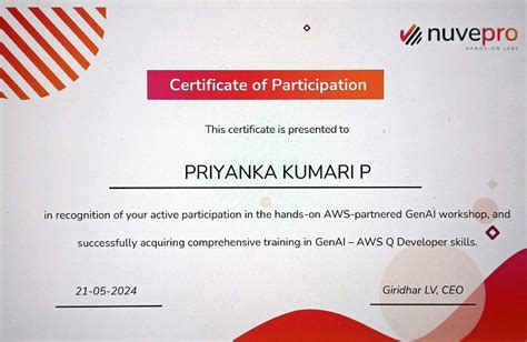 Priyanka Kumari On Linkedin Genai Aws Amazonq Certification