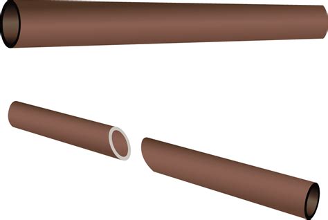 Intext Activity Iii — Task Science Cbse Class 6