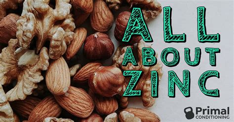 Quick Facts About Zinc Primal Conditioning