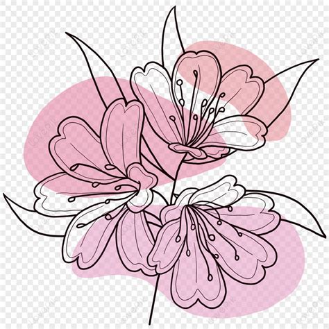 추상 꽃 일러스트 식물 라인 아트 미학이파리장식 예술 Png 일러스트 무료 다운로드 Lovepik