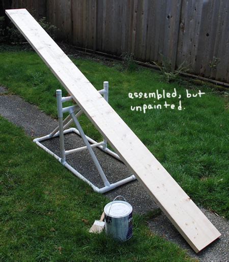 We Made A Practice Agility Teeter Miles And Emma