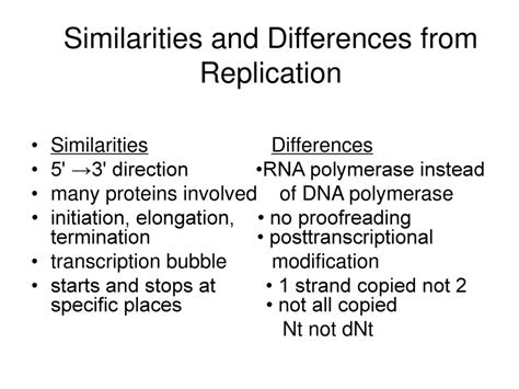 Dna And Rna Similarities And Differences