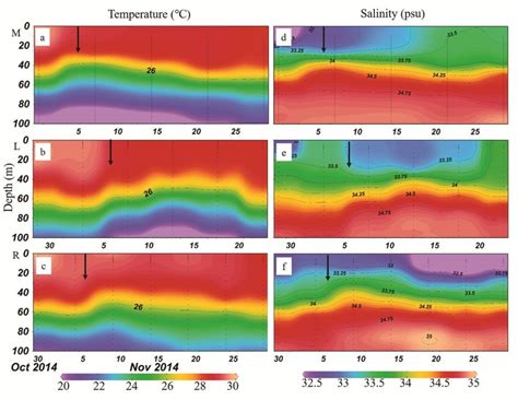 Vertical Profiles Of Temperature ºc And Salinity Psu In The Upper