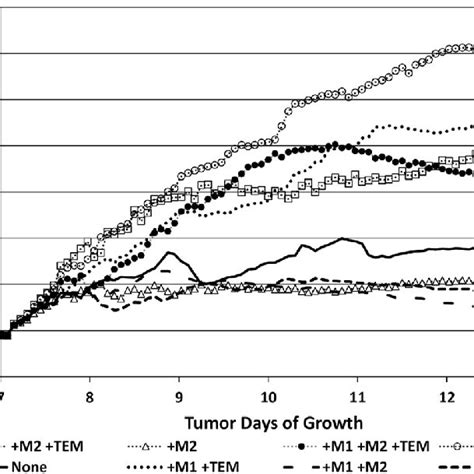 Size Of Tumor Vasculature And Tumor On Day 13 Post Inception As A