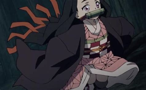 Why Does Nezuko Have A Bamboo Fakenews Rs