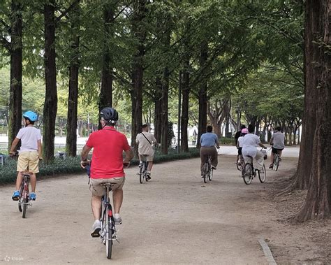 Nature Bike Tour In Han River And Seoul Forest Klook United Kingdom