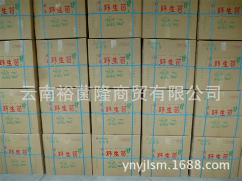 【裕菌隆】 美味牛肝菌 大帽子 干牛肝菌大帽 牛肝菌产地批发 阿里巴巴