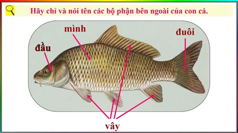 Các Bộ Phận Chính Của Máy Biến Thế Hiểu Rõ Từng Chi Tiết