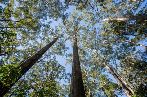Nsw Environment Protection Authority Epa On Linkedin The Nsw Epa Has