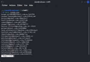 VAPI Walkthrough Zero Day Hacker