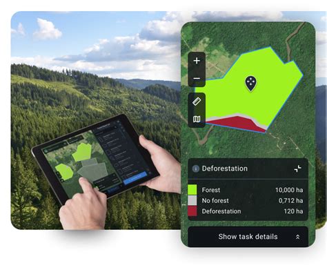 EOSDA Forest Monitoring Software For Forestry Management