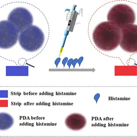 Pdf A Colorimetric Strip For Rapid Detection And Real Time Monitoring