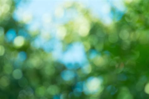 Premium Photo Leaves Bokeh For Nature Background Green Bokeh Background