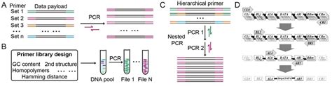 pcr‐based random‐access strategies a b selective data retrieval by