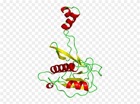 Download In The Binding Structure Of Csy4 Rna Complex The Rna Illustration Clipart 1447938 Download In The Binding Structure Of Csy4 Rna Complex The Rna Illustration Clipart 1447938