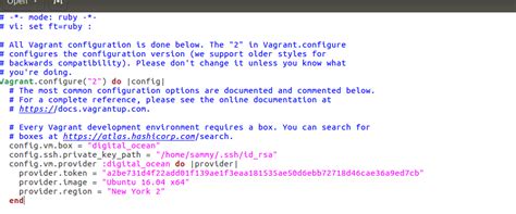 Learn How To Use Vagrant In The Cloud