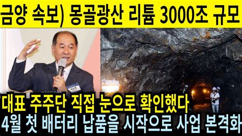 긴급속보 금양 몽골광산 리튬 3000조 규모 대표 주주단 직접 눈으로 확인 4월 첫 배터리 납품을 시작으로 사업 본격화 모든 불확실성 드디어 해소 금양금양주가금양주가
