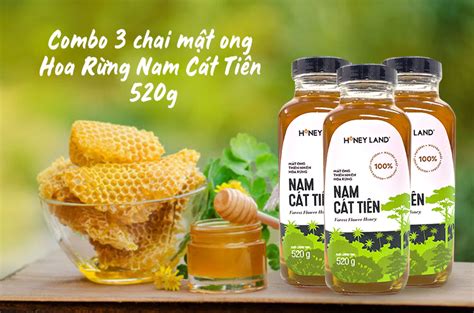 Honeyland Combo 3 Chai Mật Ong Hoa Rừng Nam Cát Tiên 520g 4 Chai