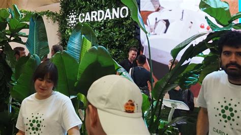 Cardano Deep Dive On The Trump Reserve Token Whose Blockchain Ignores Tvl