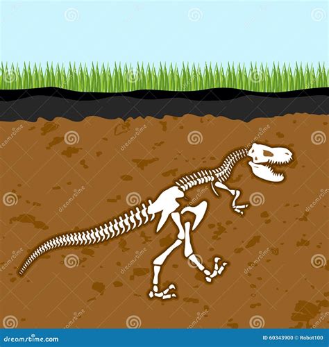 Skeleton Of Tyrannosaurus Rex Dinosaur Bones In Earth Fossil Stock